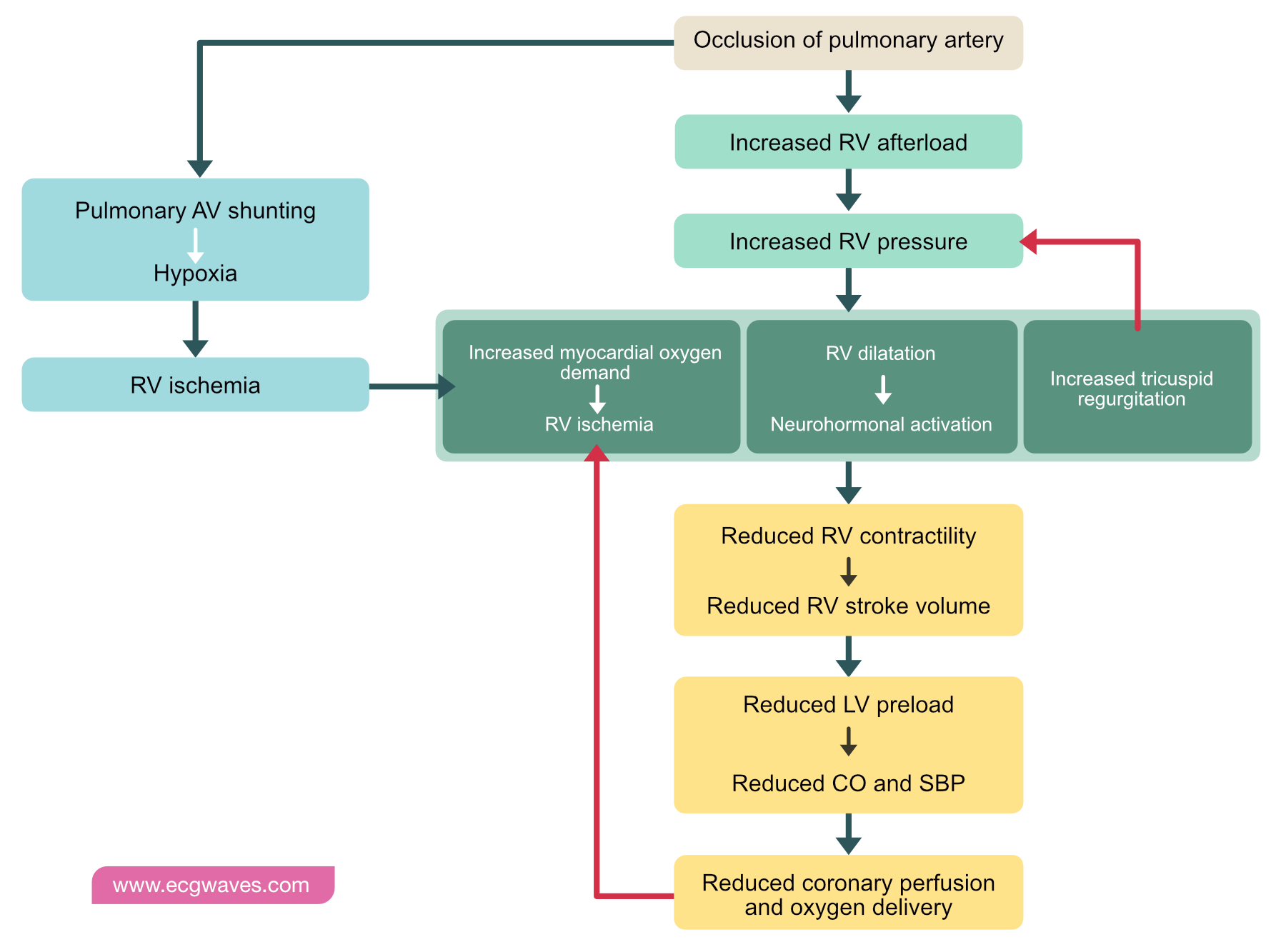 Pulmonary Embolism PE Causes Symptoms Diagnosis Treatment Pulmonary Embolism PE Causes Symptoms Diagnosis Treatment
