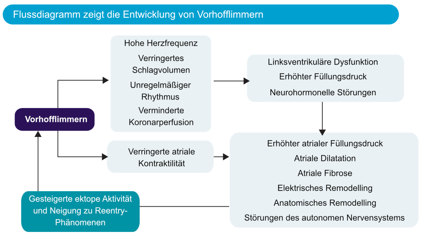 Vorhofflimmern: EKG, Klassifikation, Ursachen, Risikofaktoren ...